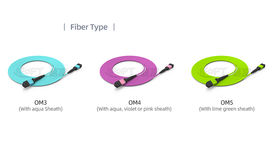 OM3 vs OM4 vs OM5: Differences and How to Choose for Network Cabling