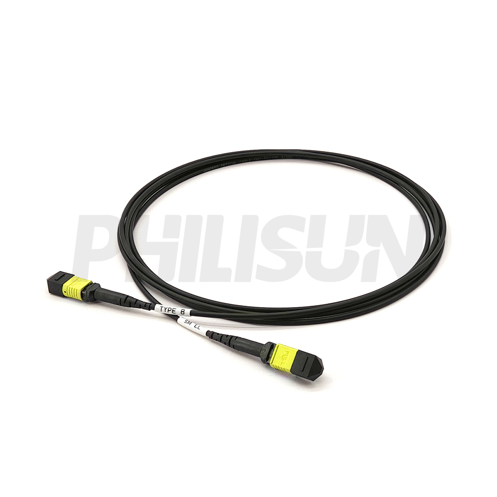 Armored MPO-12 Fiber Optic Cable - MPO to MPO OS2 Singlemode, 12-Fiber ...