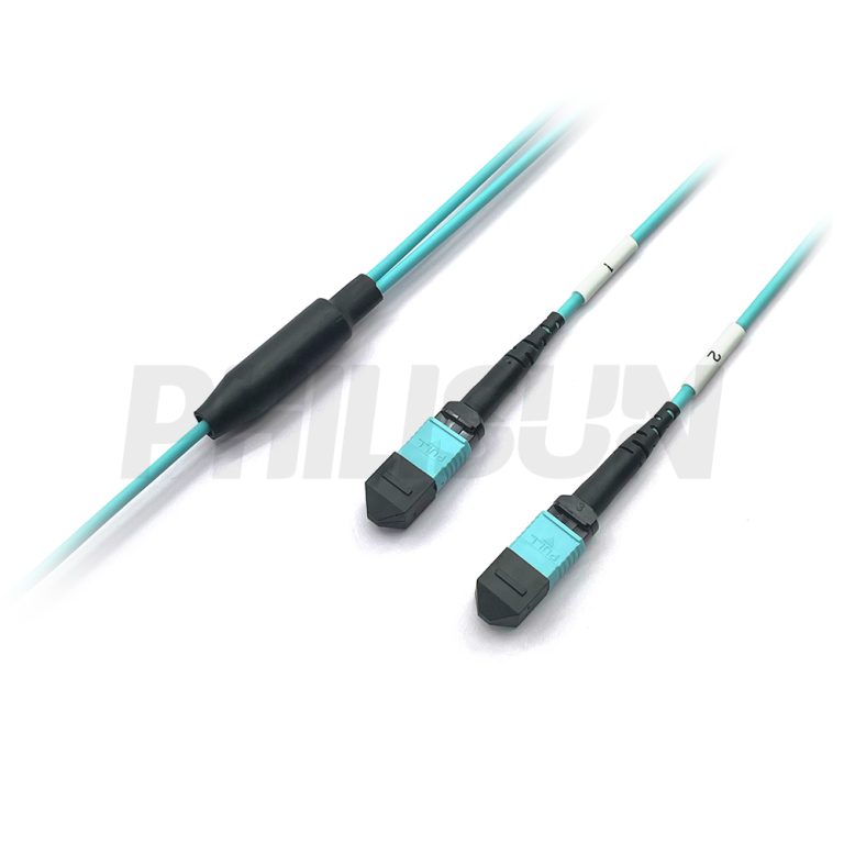 MPO Breakout Cable, 2 x MPO-12 PC/APC(Female/Male) to 2 x MPO-12 PC/APC ...