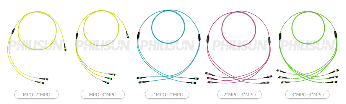 MPO Breakout Cable, 2 x MPO-12 PC/APC(Female/Male) to 2 x MPO-12 PC/APC ...