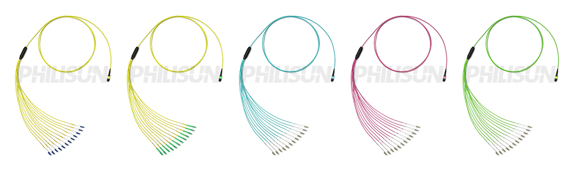 MPO Harness Cable, MPO-12 PC/APC(Female/Male) to LC PC/APC, 12 Fibers ...